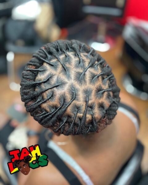 Loc Braids Styles Guide + Braided Locs Inspirations