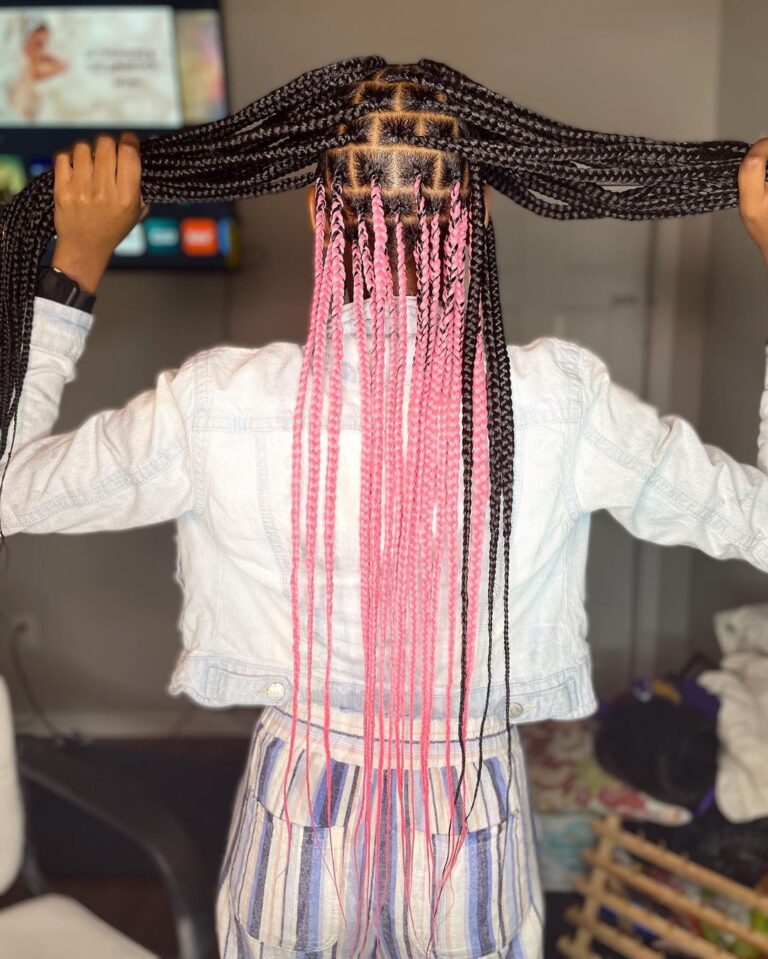 26 Stunning Peekaboo Braids Styles + Colors & Styling Guide